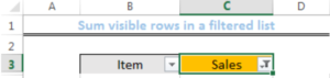 Excel formula: Sum visible rows in a filtered list - Excelchat