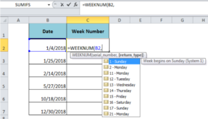 Get week number from date in Excel with WEEKNUM function