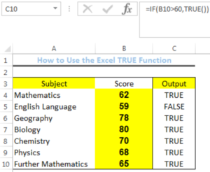 How to use the Excel TRUE function