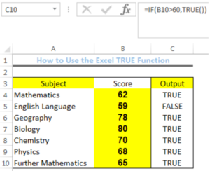 How to use the Excel TRUE function