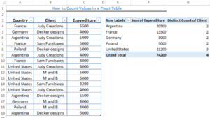 How to Count Values in a Pivot Table | Excelchat