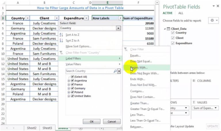Learn How to Filter Large Amounts of Data in a Pivot Table | Excelchat