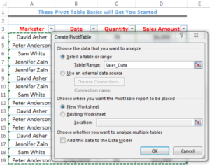 These Pivot Table Basics will Get You Started | Excelchat