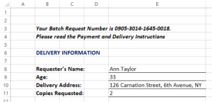 Copy without formatting in Excel | Excelchat