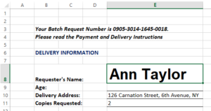 Copy without formatting in Excel | Excelchat