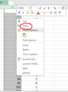 How to Copy and Paste Columns in Excel | Excelchat