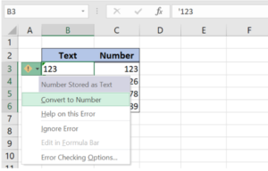 How to Convert Text to Number in Excel | Excelchat