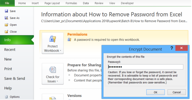 How To Remove Encryption From Excel Excelchat Excelchat