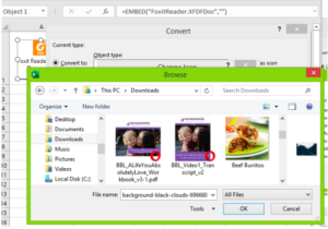 How to embed or insert pdf into an Excel Worksheet - Excelchat | Excelchat