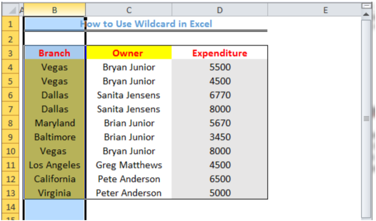 How to Use Wildcards in Excel - Excelchat | Excelchat