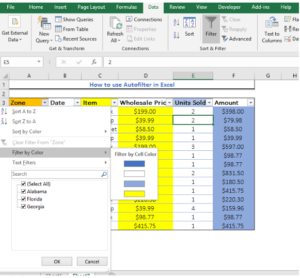 How to use Autofilter in Excel - Excelchat | Excelchat