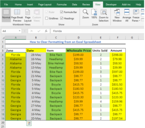 How to Clear Formatting from an Excel Spreadsheet - Excelchat | Excelchat