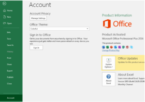 How to Check Excel Version | Excelchat