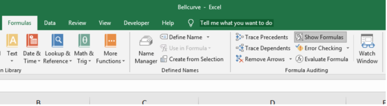 How to Show Formulas Instead of Values or Results | Excelchat