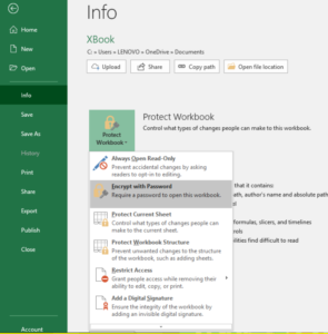 How to Password Protect an Excel File | Excelchat