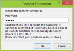 How to Password Protect an Excel File | Excelchat